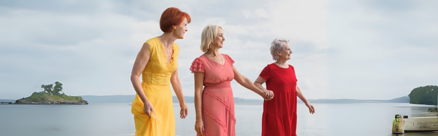 Posterior Vaginal Repair: Rectocele Surgery and Recovery Guide - The ...