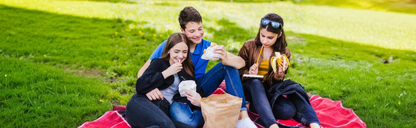 Transillumination of Sinuses: A Non-Invasive Sinus Exam Tool - The ...