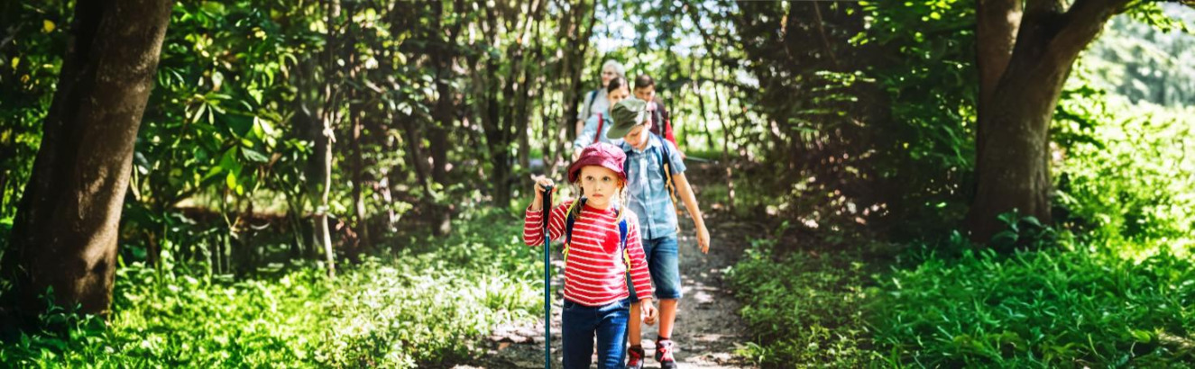 Understanding Lyme Disease Serology: Testing and Diagnosis - The ...